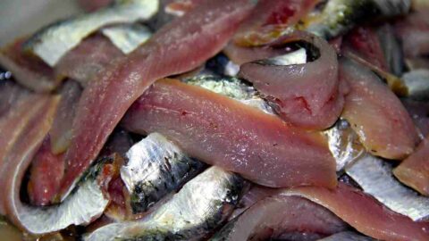 Pesce azzurro: elenco, proprietà e come cucinarlo