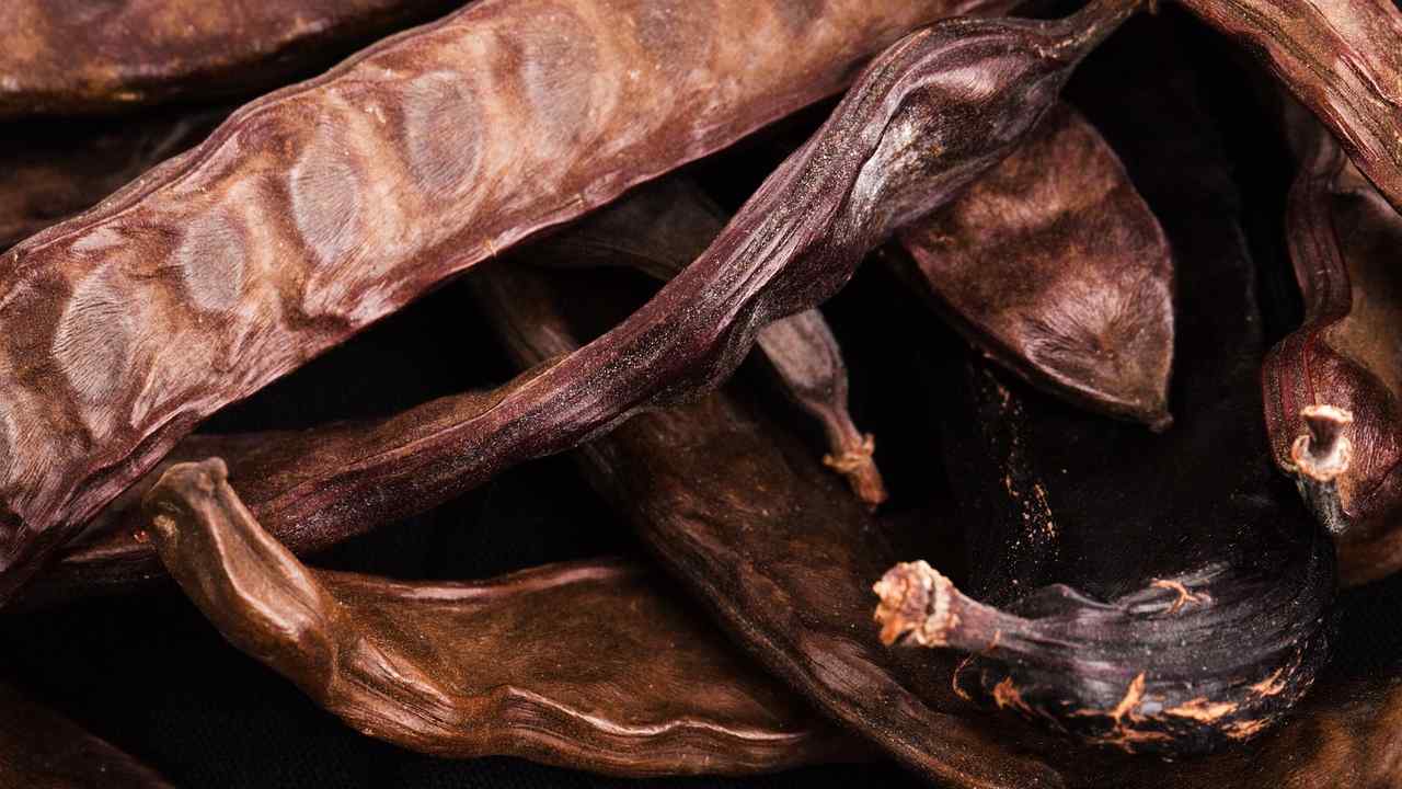 Carrube: proprietà e controindicazioni del nobile frutto