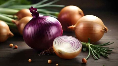 Cipolla: origine, benefici, controindicazioni e ricette