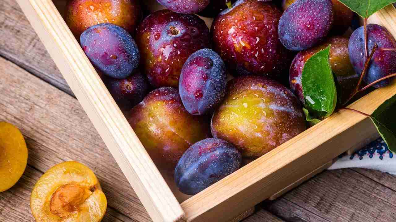 Prugne o susine: varietà, benifici e controindicazioni