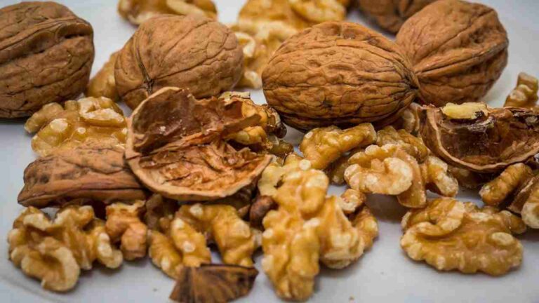 Noci: proprietà, benefici, ricette e controindicazioni