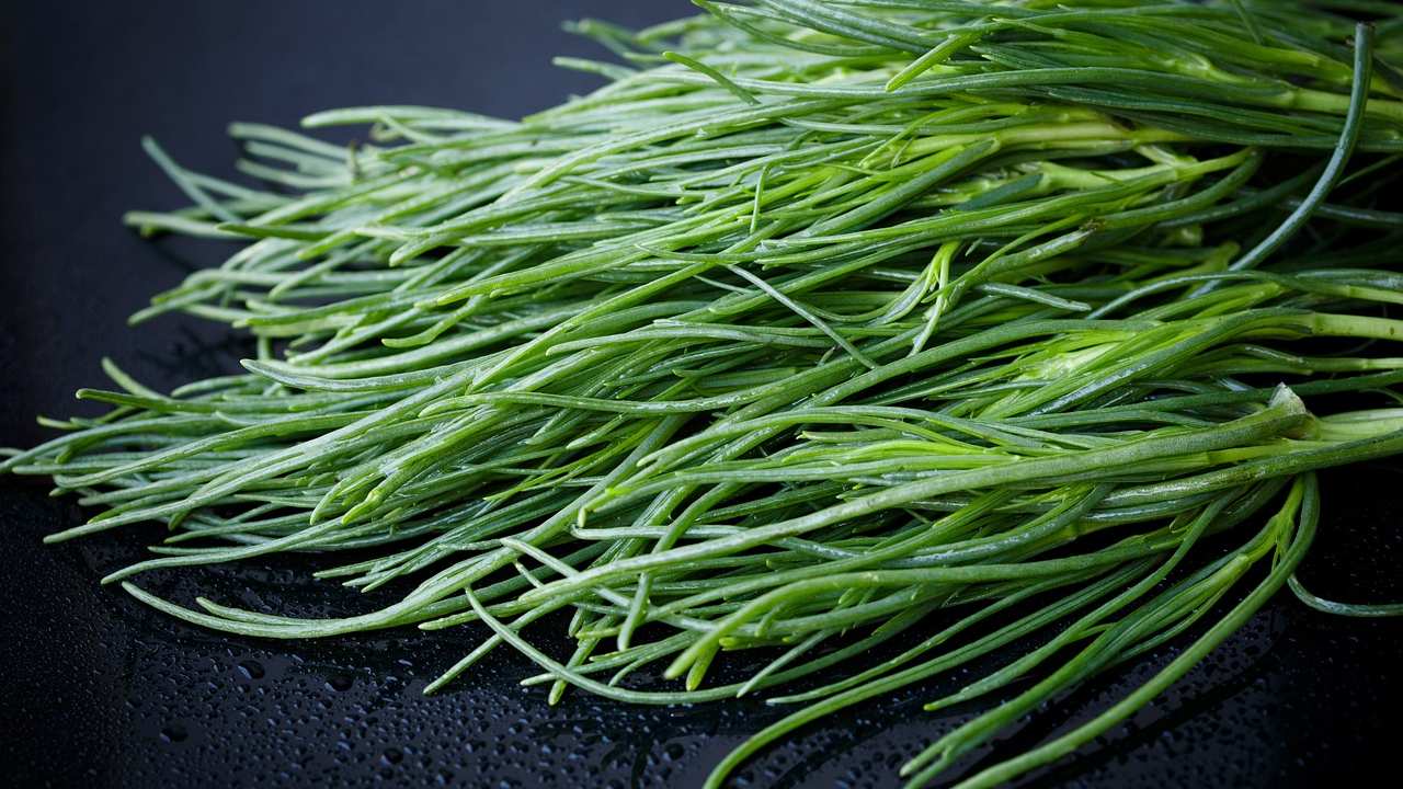 Agretti: cosa sono, proprietà, ricette e controindicazioni - Cucinare ...