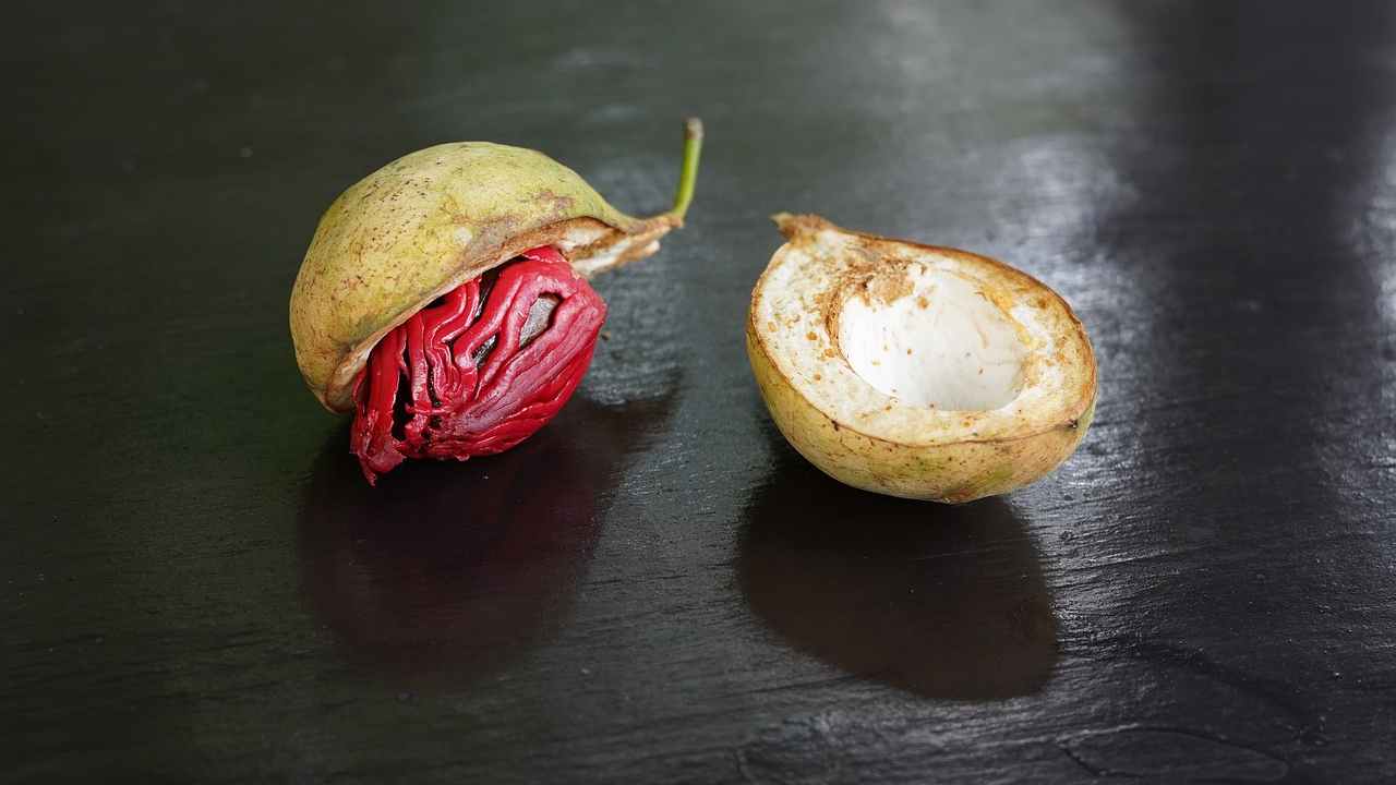 Noce moscata: proprietà, benefici e controindicazioni