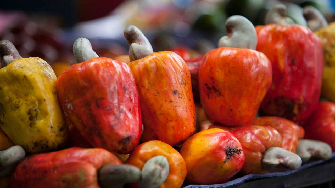 Anacardi: cosa sono, proprietà, ricette e controindicazioni - Cucinare ...