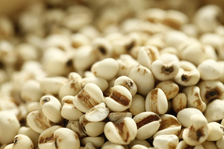 Orzata: cos'è, a cosa fa bene, ricetta, come si beve