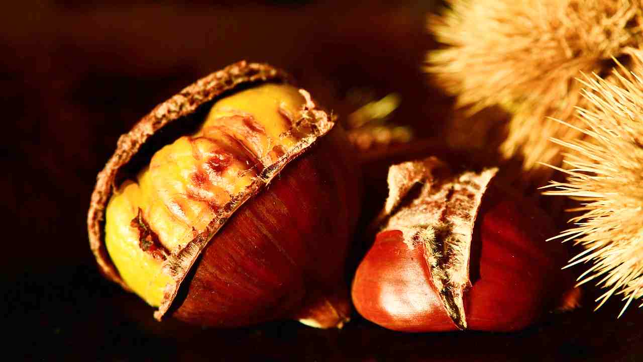 Come cuocere le castagne al microonde con e senza ammollo
