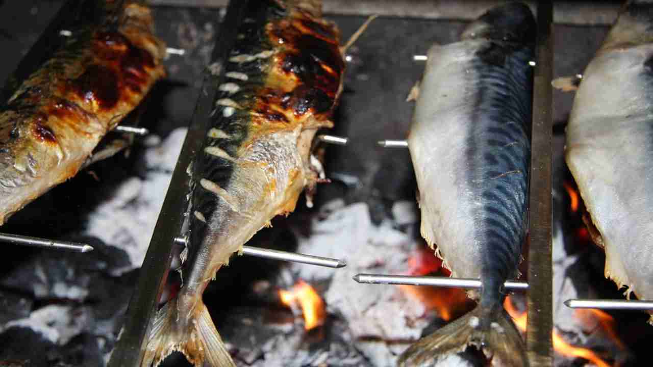 Pesce azzurro: elenco, proprietà e come cucinarlo