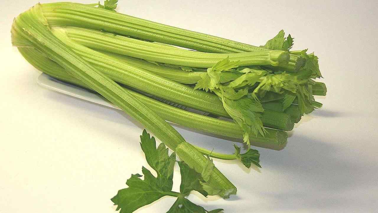 Sedano: proprietà, benefici e controindicazioni - Cucinare Facile